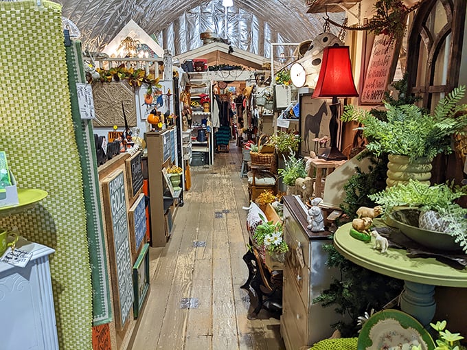 Buffalo Nickel's endless aisles invite exploration, where treasures hide around every corner and the thrill of discovery keeps shoppers coming back for more.