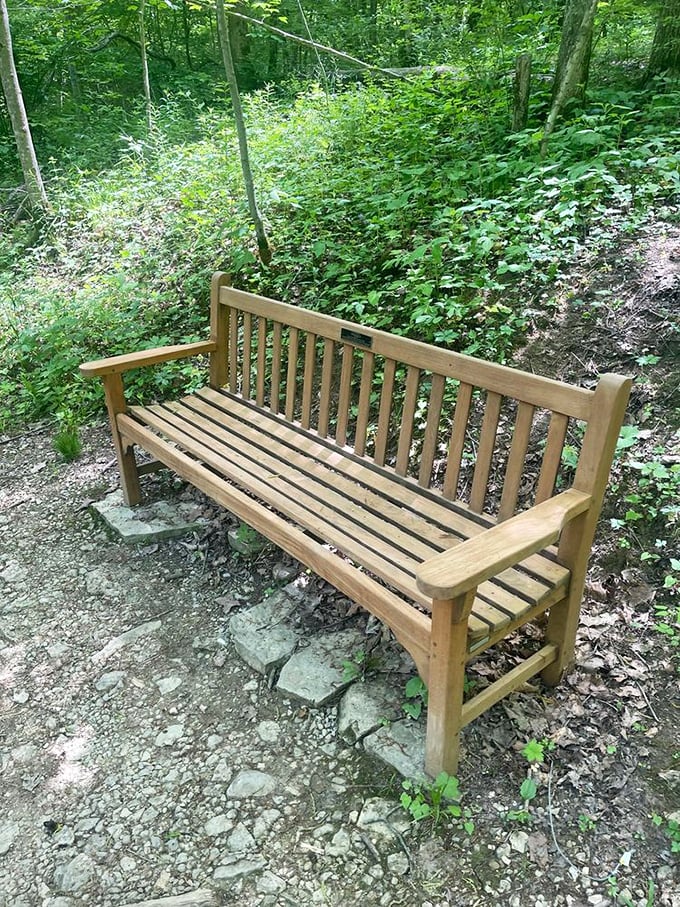 A thoughtfully placed bench invites weary hikers to pause and contemplate – because sometimes the best part of a journey is stopping to enjoy the view.