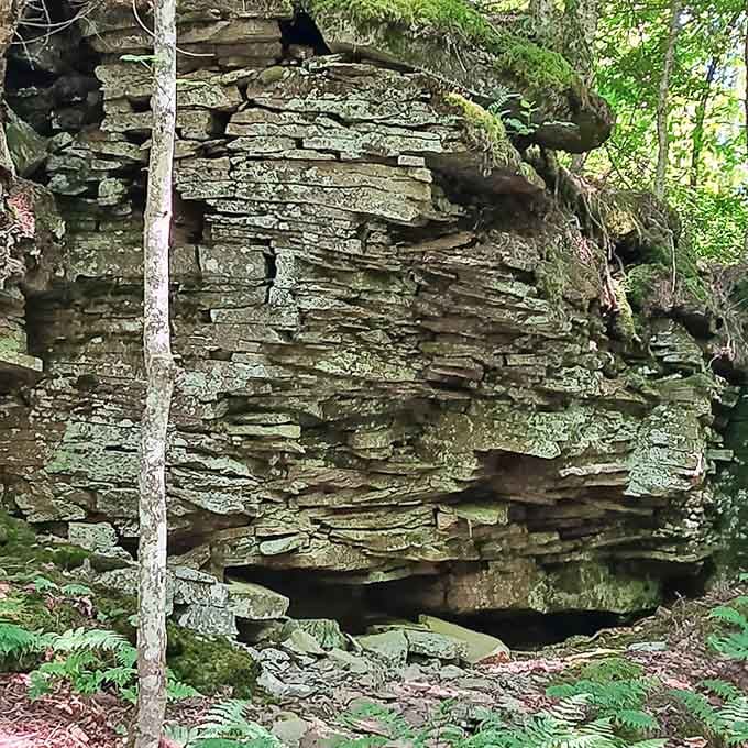 These ancient rock layers tell Earth's autobiography one sedimentary chapter at a time, standing as patient witnesses to millions of years of history.