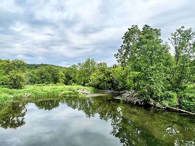 The tranquil waters of the South Branch Root River mirror the surrounding landscape, creating a moment of perfect natural symmetry.