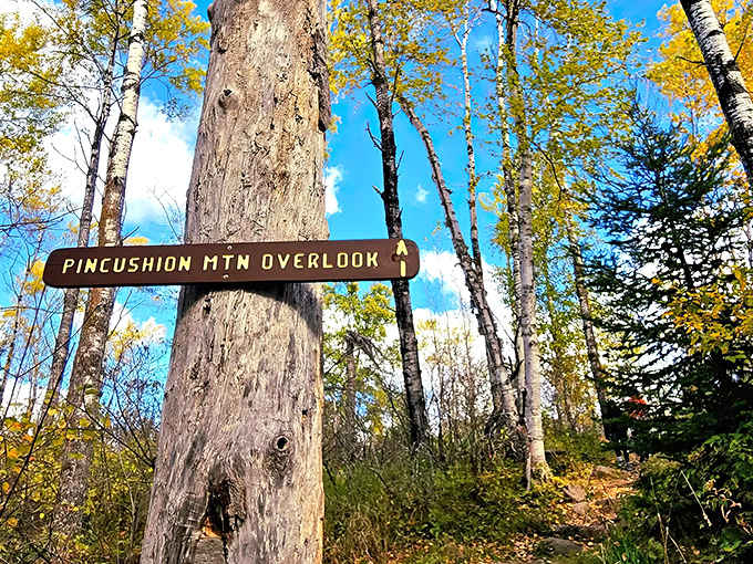 That wooden sign doesn't just mark a trail – it promises an experience that'll have you texting friends: "You won't believe this view!"