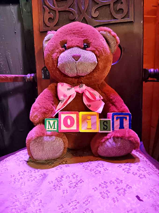 Don't let the cute face fool you &ndash; this teddy bear's message blocks spell out exactly what kind of establishment you've wandered into.