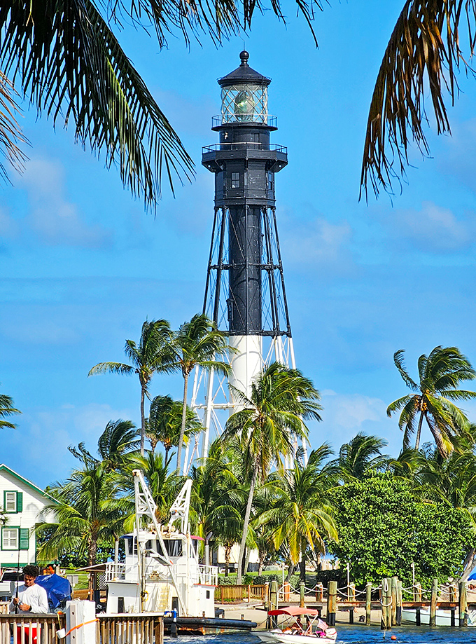 Framed by swaying palms, the lighthouse's skeletal frame creates a geometric masterpiece against the blue canvas of a perfect Florida day.