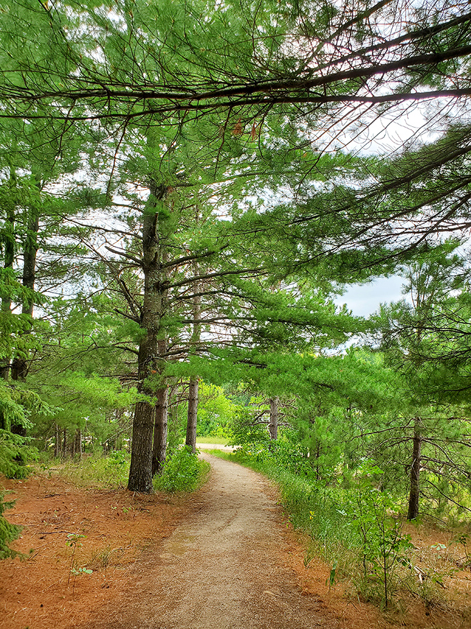 Towering pines stand sentinel along trails that once echoed with oxcart wheels and frontier commerce.