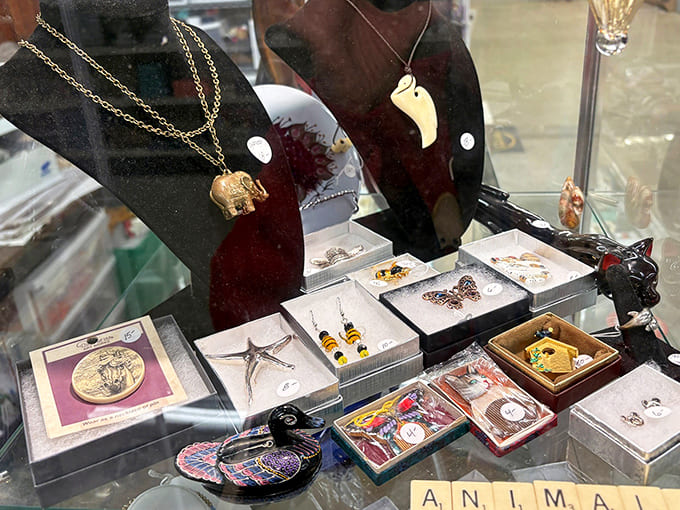 Jewelries: Treasure chest of sparkle and shine! Vintage brooches, statement necklaces, and hidden gems await the discerning accessory hunter.