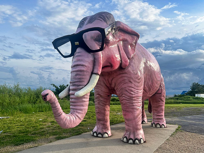 The famous pink elephant of DeForest sports stylish black glasses and a friendly demeanor. This rosy roadside giant has photobombed family vacation pictures for generations.