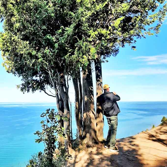 Man meets majesty at trail's edge, where ancient trees stand guard over Lake Michigan's endless blue expanse.
