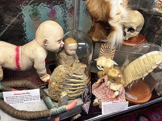 These antique dolls in their glass case look like they're plotting something, and you're probably right to be slightly concerned about what happens after closing time.