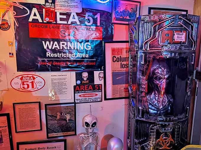 The Area 51 collection fuels conspiracy theories with its alien artifacts, classified documents, and that age-old question: are we alone?