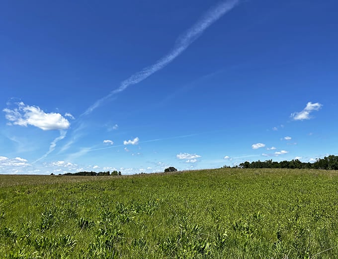 The open prairie stretches toward the horizon under Minnesota's impossibly blue sky, a reminder that sometimes emptiness can feel more fulfilling than abundance.