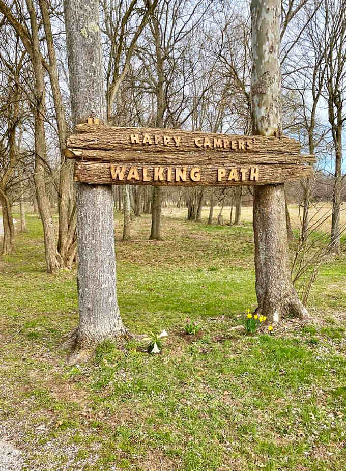 Harry Camlin Walking Path invites visitors to stretch their legs between swims, a peaceful woodland retreat from summer's heat.