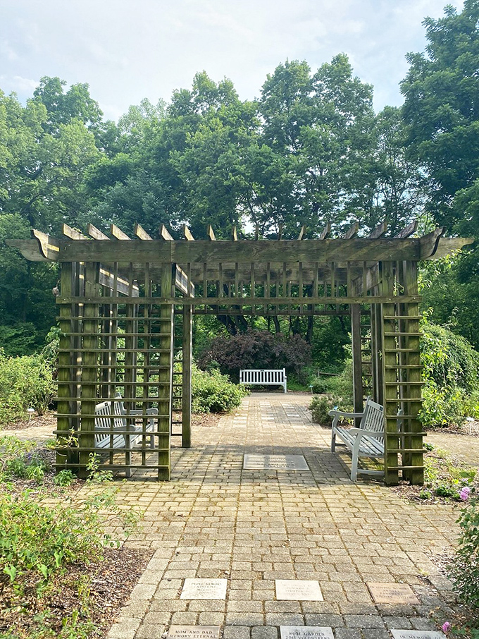 Strategic bench placement throughout the park means you're never far from a spot to sit and contemplate life's big questions or just rest your feet.
