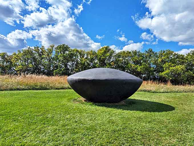 This obsidian bowl seems to absorb light rather than reflect it, a cosmic void resting quietly on manicured grass.