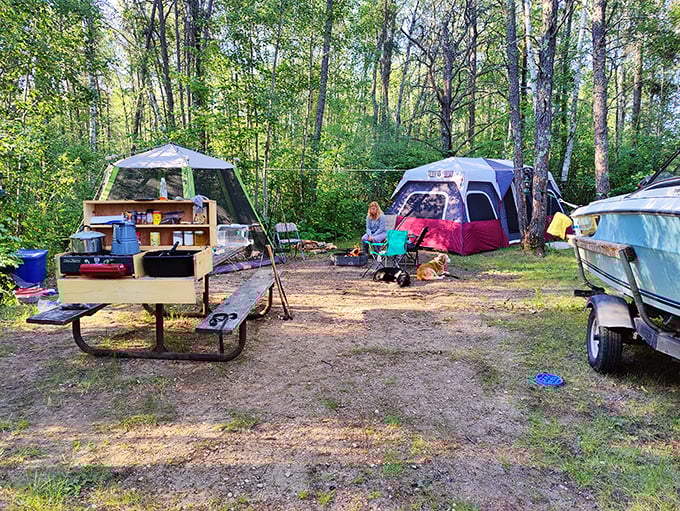 Camping sites nestle among trees, offering that perfect blend of wilderness experience with actual creature comforts nearby.
