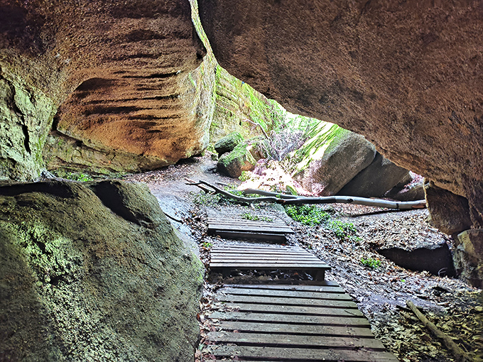 Nature's secret passageway: where moss-covered stones and wooden planks lead adventurers through geological time machines.