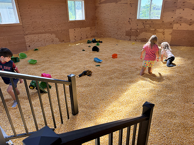 Dive into a sea of kernels in this agricultural ball pit that guarantees corn in your shoes for days to come.