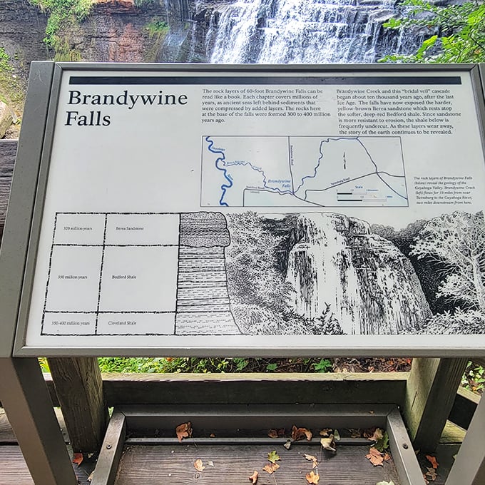 The educational sign reveals Brandywine Falls' geological secrets – Mother Nature's 300-million-year resume carved in stone.