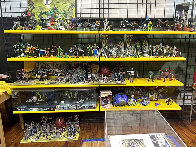 Action figure heaven &ndash; where plastic heroes stand eternally vigilant, protecting the museum from dust and disinterested teenagers.