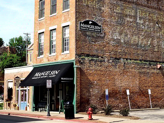 Mangelsen's gallery showcases stunning wildlife photography in a beautifully preserved historic building &ndash; where art meets architecture in perfect harmony.