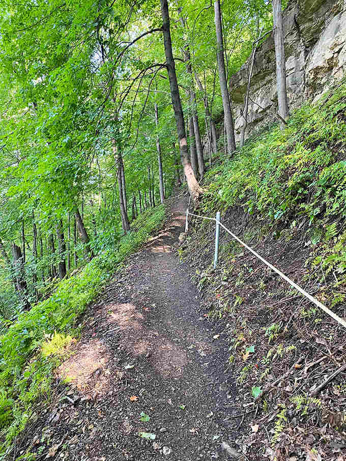The narrow forest trail hugs the bluffside, offering tantalizing glimpses of the valley through a natural frame of ancient trees.