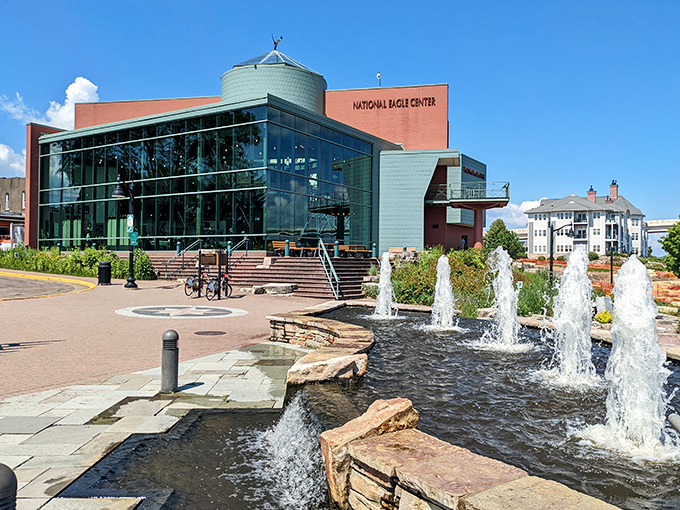 The National Eagle Center stands as Wabasha's modern crown jewel, where America's national bird gets the royal treatment it deserves.