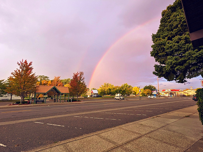 Tree-lined residential streets showcase the quintessential Midwestern neighborhood where front porches aren't just decorative&mdash;they're actually used.
