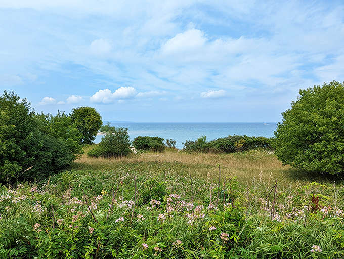 Where wildflowers meet wild waters. The kind of view that makes smartphone screens seem tragically inadequate.