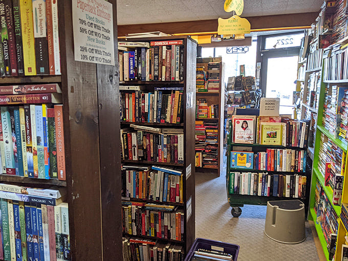 The painted ceiling and endless shelves create an atmosphere that's part library, part treasure cave, all wonderful.