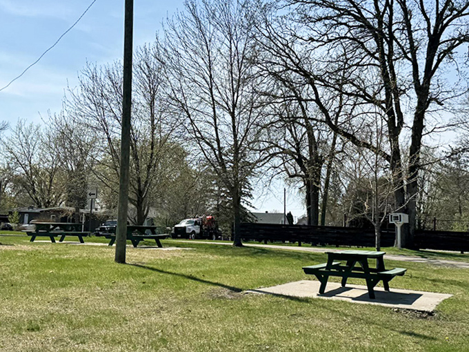 Simple pleasures abound at the town park's picnic area, where conversations flow as easily as the nearby stream.