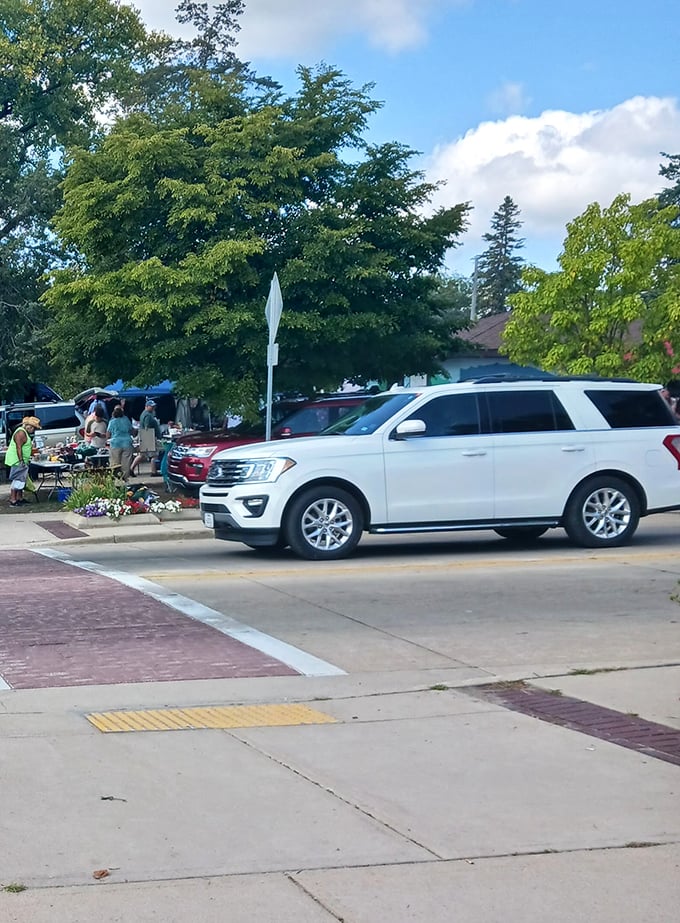 Cars line the streets as shoppers descend on Princeton, united in their quest for deals, treasures, and things to fill their basements.
