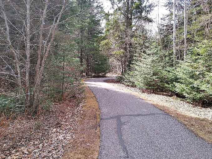 Journey into tranquility: This winding path through Grand Portage State Park promises adventure with every curve and birdsong.