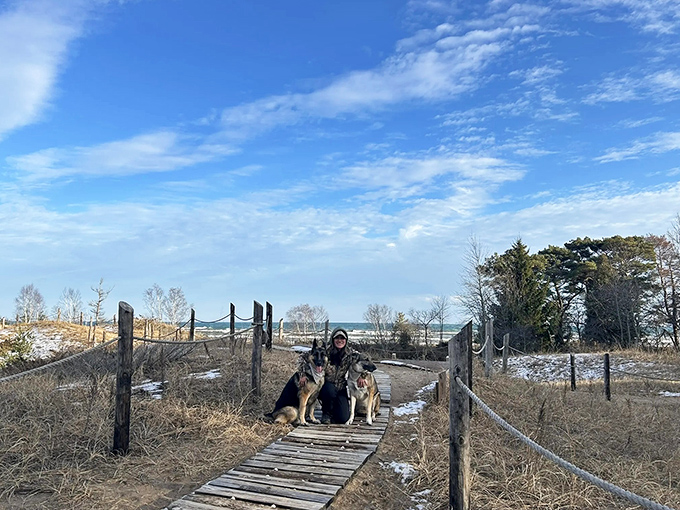 Winter transforms the dunes into a snow-dusted wonderland where even dogs pause to appreciate the view.