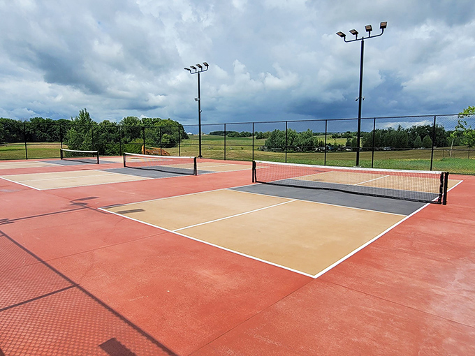 The battleground where family rivalries are born and friendly trash talk reaches art form status. Grandma's surprisingly competitive side emerges here.