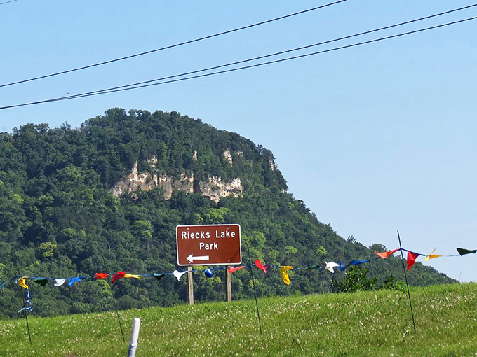 Limestone bluffs stand like nature's skyscrapers above Riecks Lake Park, their faces etched by millennia of wind, water, and time.