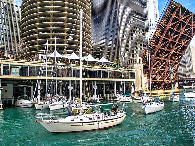 The city's famous movable bridges lift like mechanical ballet dancers, allowing sailboats to pass while pedestrians pause to witness this uniquely Chicago moment.