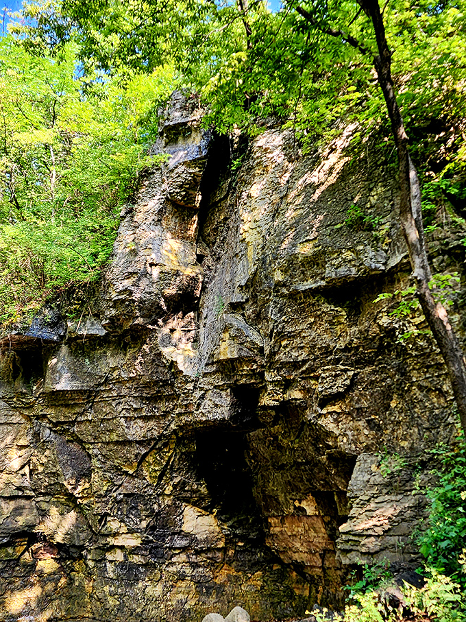 Limestone cliffs tell Earth's ancient story in visible layers, each stripe representing thousands of years of geological history.