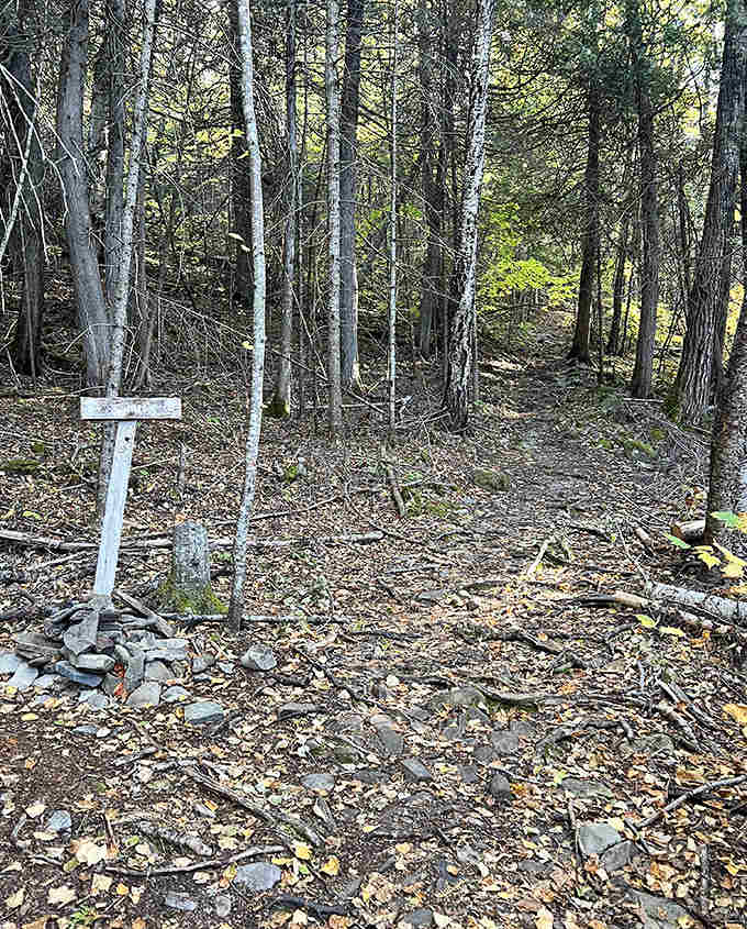 The trail occasionally reminds you that Mother Nature doesn't believe in escalators. Each rocky step is part of the adventure.