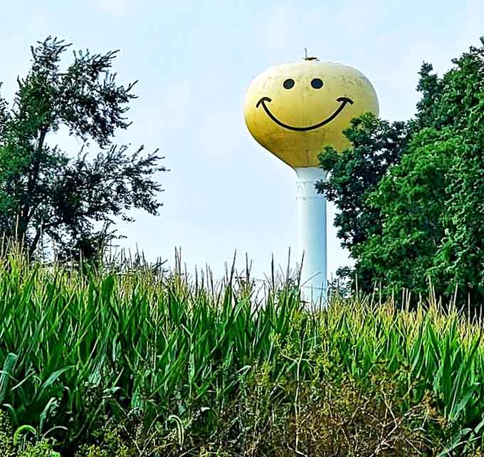 Peeking above the cornfields like a happy surprise, this grinning guardian reminds farmers that even the toughest work deserves a smile.