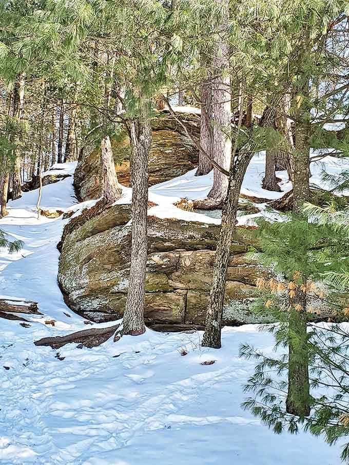 Rock formations wearing snow like fancy hats, proving nature has better fashion sense than most of us.