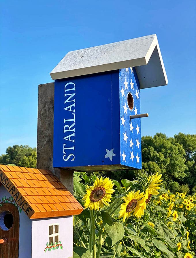 Patriotic perches for feathered residents &ndash; these whimsical birdhouses add stars, stripes, and songs to the sunflower experience.