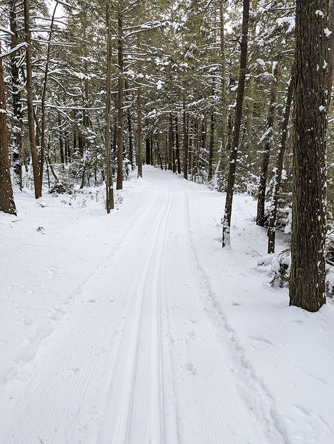 Winter transforms familiar paths into pristine ski trails, where the only sound is the soft swish of movement through fresh powder.