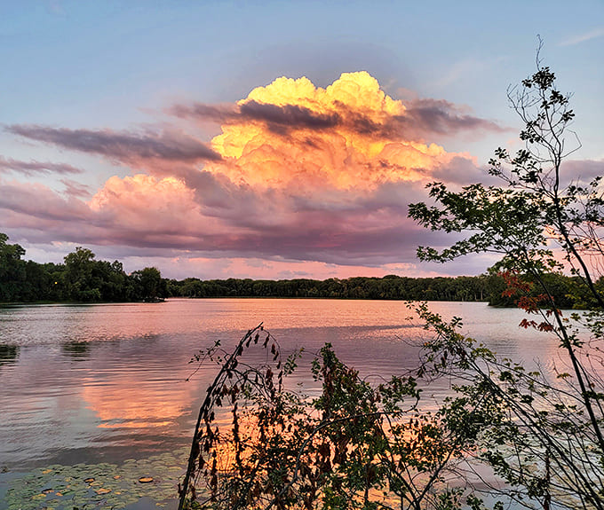 Sunset transforms Cedar Lake into a mirror of liquid gold, reflecting cloud formations that look like they've been painted by an artist with a flair for drama.