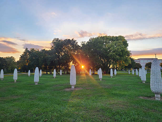 As the sun sets behind Dublin's Field of Corn, the golden hour transforms these concrete sculptures into glowing monuments to agricultural heritage.
