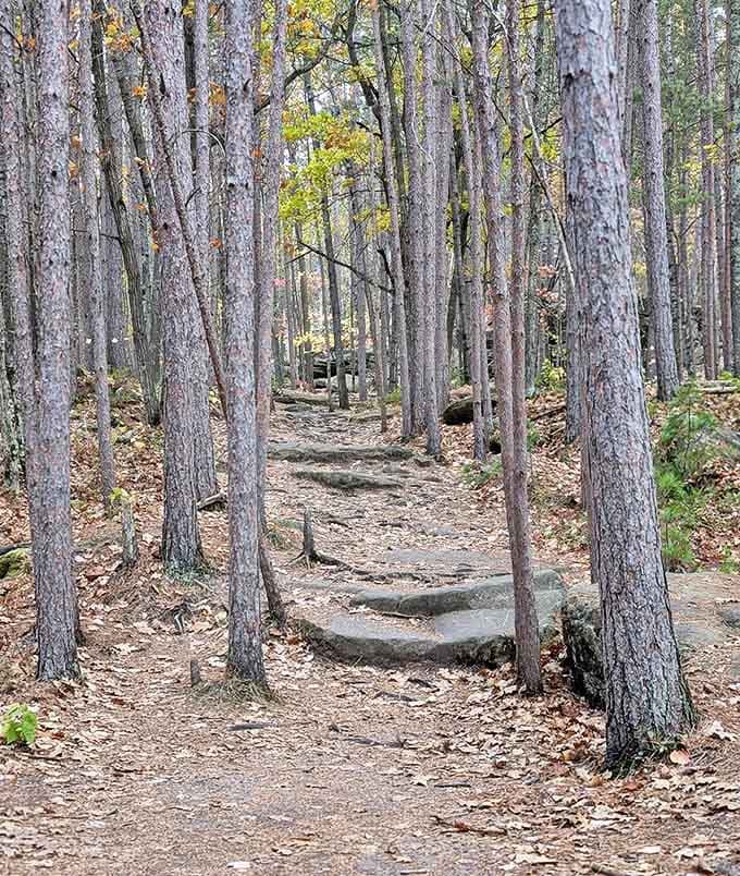 The trail through Banning's pine forest feels like walking through nature's cathedral &ndash; tall trunks creating columns that reach toward the sky.