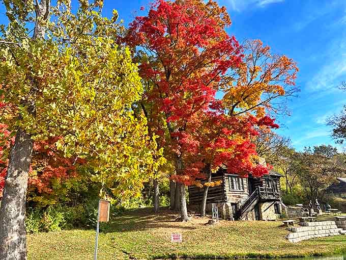 Autumn transforms ordinary trees into something that belongs in a museum, except you can walk right through this masterpiece.