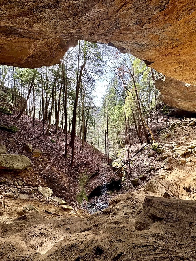 Winter's bare branches create nature's own abstract art installation against the brilliant blue sky &ndash; a reminder that beauty doesn't hibernate.