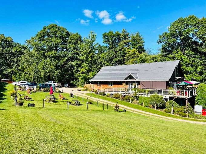 Ugly Bunny Winery proves that great wine, like great people, doesn't need a fancy label to deliver something wonderful.