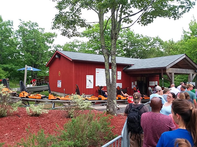 Adventure-seekers line up eagerly at the bright red station house, anticipation building as they watch returning riders' faces flush with excitement.