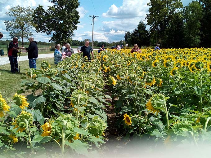 Community gathering at its finest &ndash; locals and visitors alike find connection among these towering botanical celebrities.