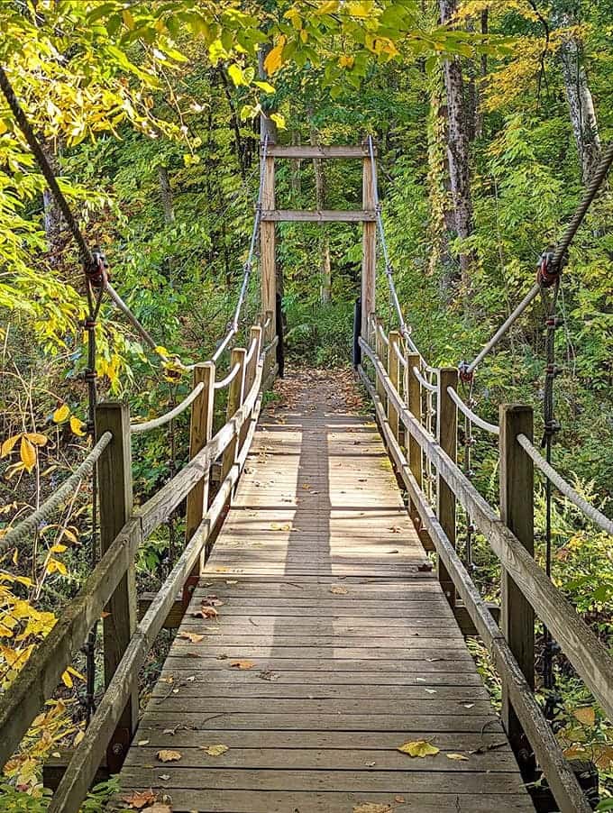 Crossing this rustic span feels like stepping into a Robert Frost poem, minus the existential crisis about which path to take.